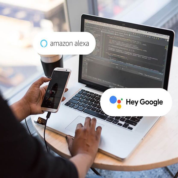 Voice Control Integrations – Echeckin