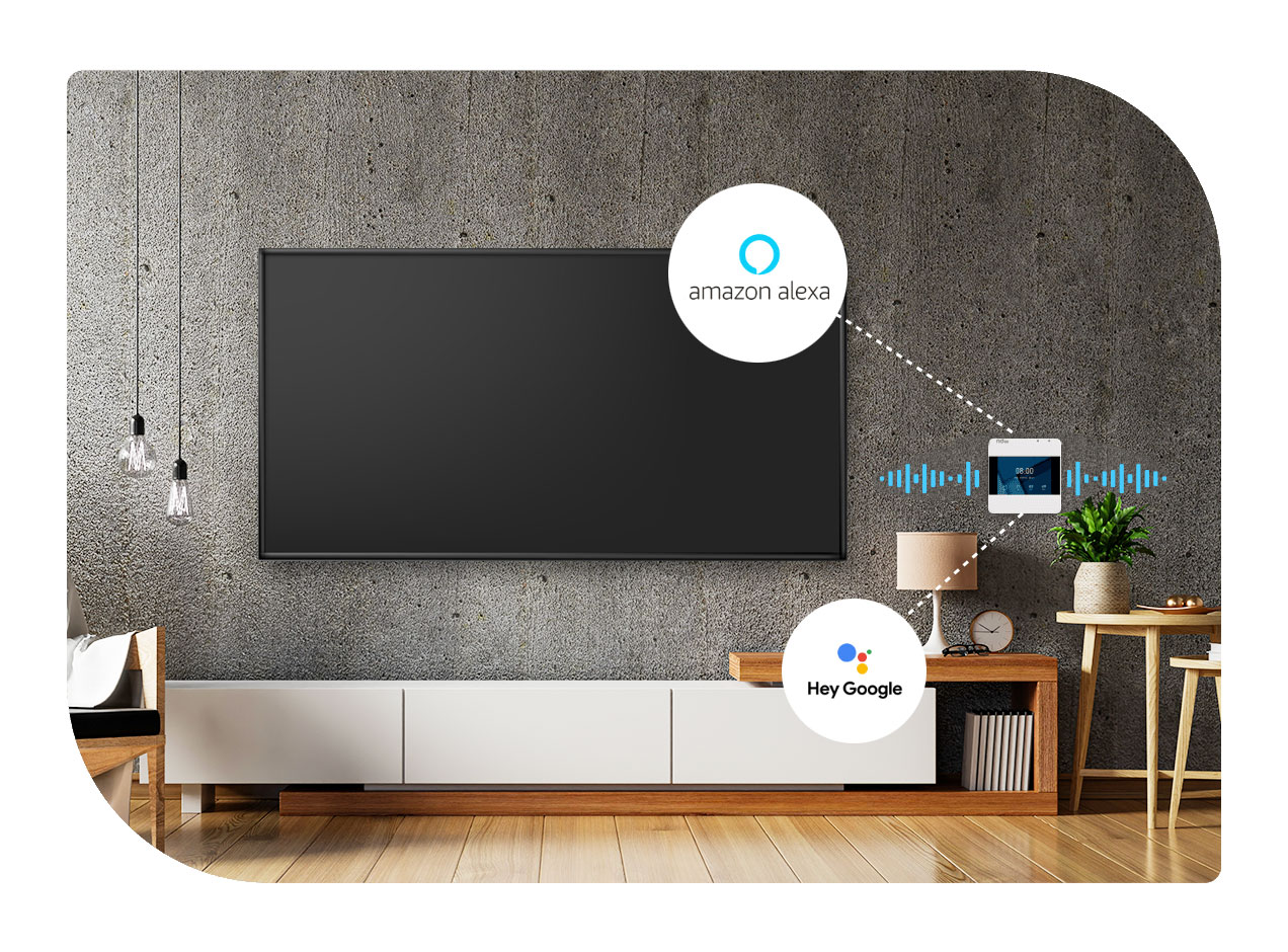 Voice Control Integrations – Echeckin